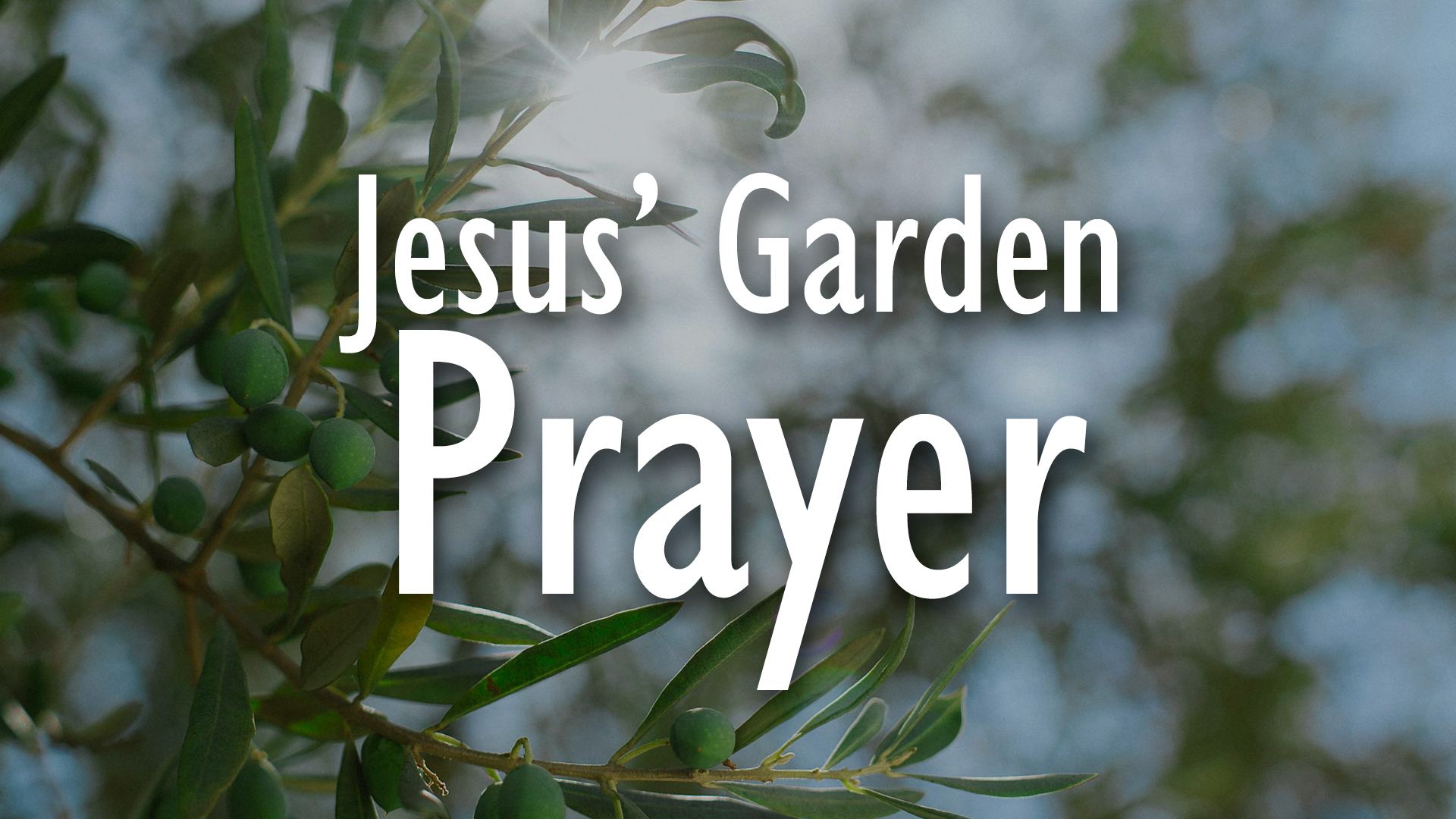 Jesus' Garden Prayer - week 5 - Coulee Rock Church